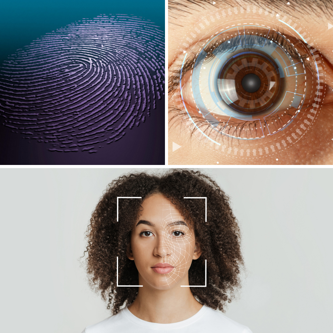 WHAT ARE THE FOUR BIOMETRICS THAT ARE COMMONLY USED TODAY Mighty